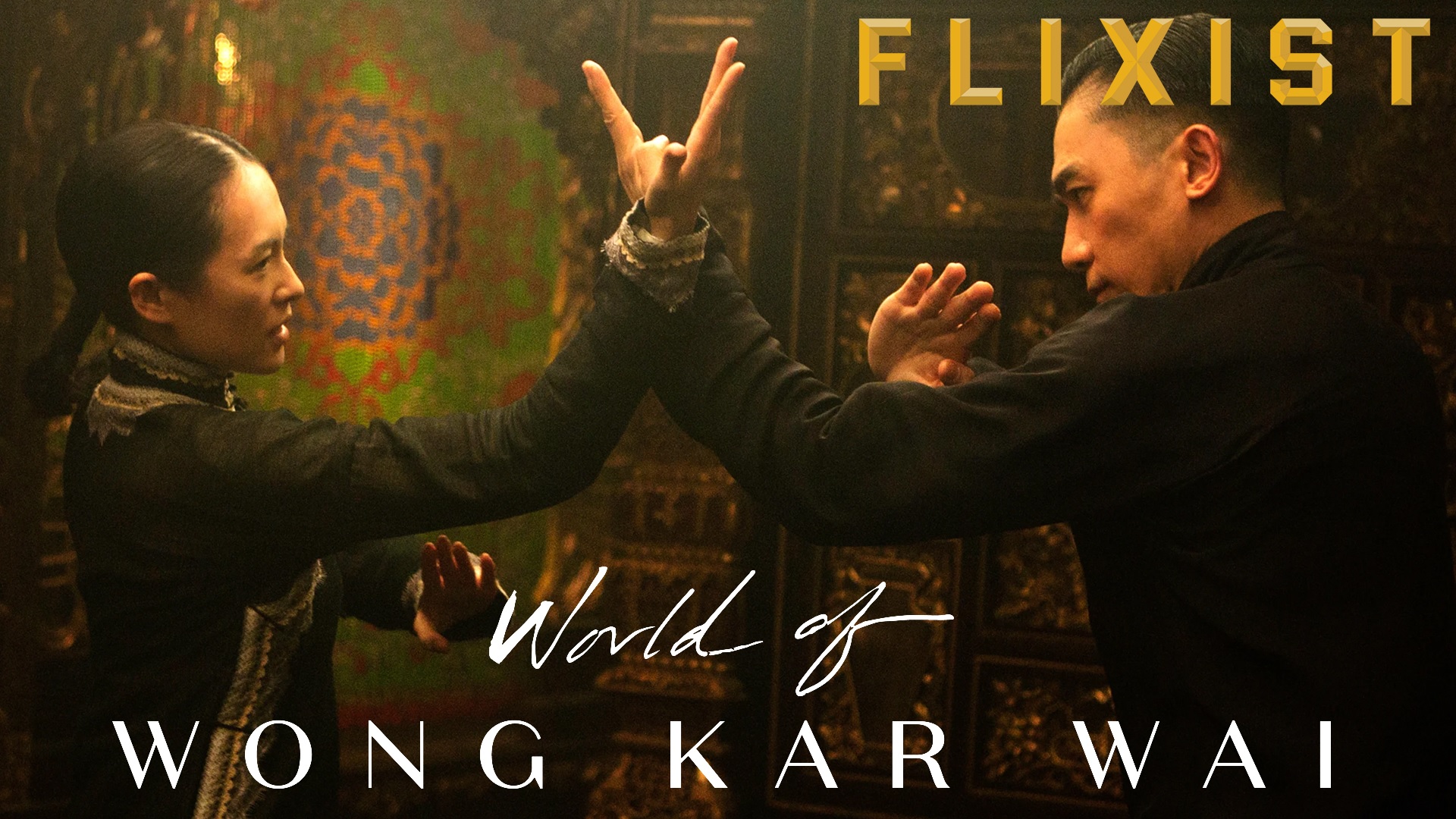 World of Wong Kar-wai: The Grandmaster • Flixist